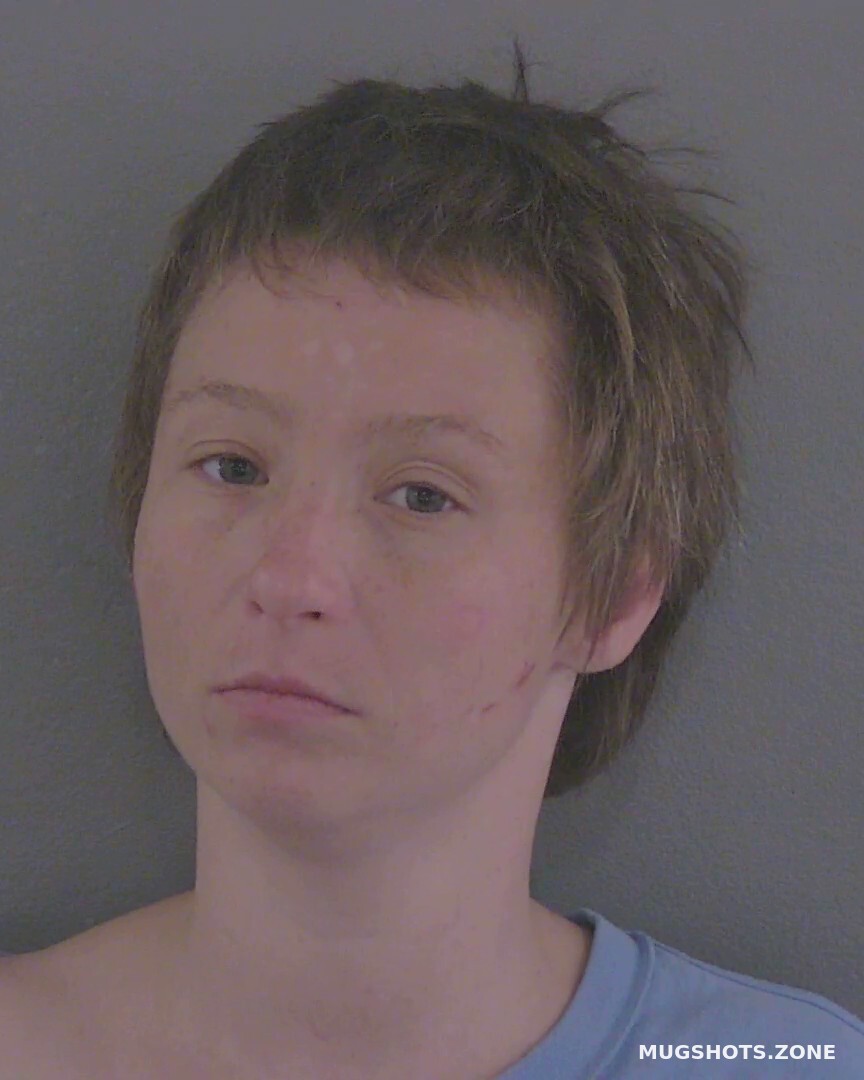 SHEFFIELD BRITTANY ASHLEY 12/31/2024 - Sumter County Mugshots Zone