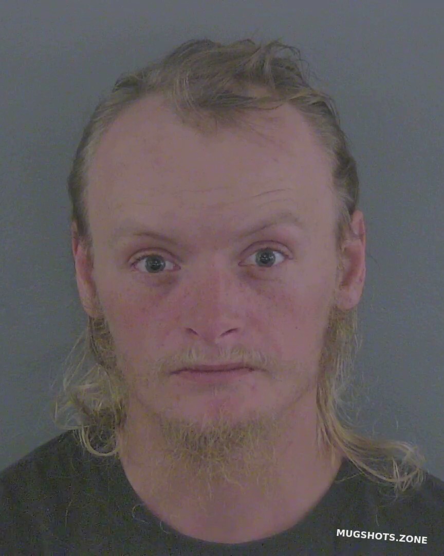 DAVIS CHRISTOPHER MICHAEL 01/17/2025 - Sumter County Mugshots Zone