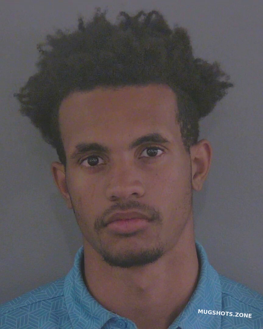 JAMES MATTHIAS ELIJAH CHARLES 02/05/2025 - Sumter County Mugshots Zone