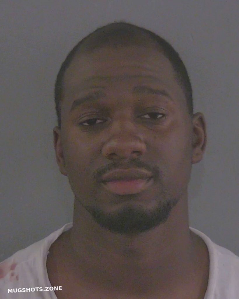 HAMILTON DERRICK D'DION 02/20/2025 - Sumter County Mugshots Zone