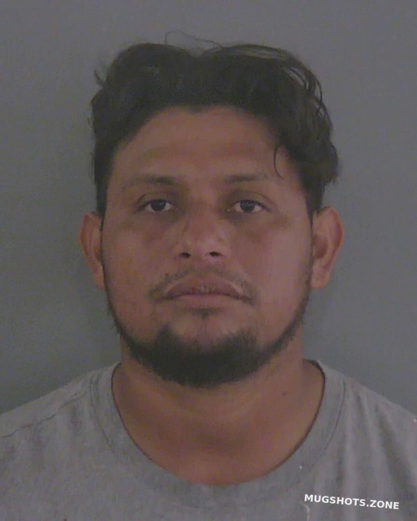 MUNGUIA MEJIA CARLOS 03/03/2025 - Sumter County Mugshots Zone
