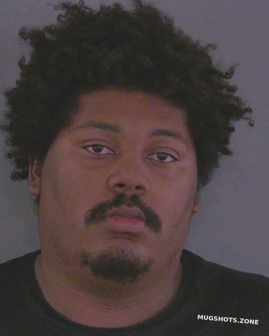 CLARK JULIUS CARLOS 04/24/2025 - Sumter County Mugshots Zone
