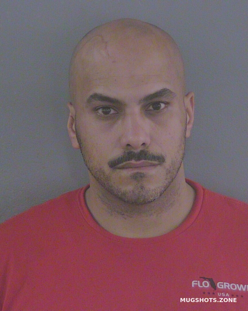 POWELL ALVIN GEORGE 04/29/2025 - Sumter County Mugshots Zone