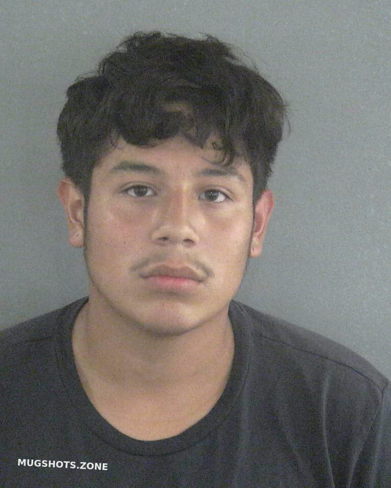 FAJARDO CARLOS EDUARDO 06/13/2025 - Sumter County Mugshots Zone