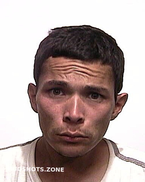 REYES PEDRO 05/01/2021 - Suwannee County Mugshots Zone