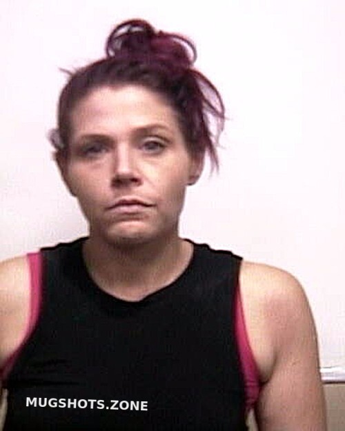 TULK SHAYE ANN 01/04/2023 - Suwannee County Mugshots Zone