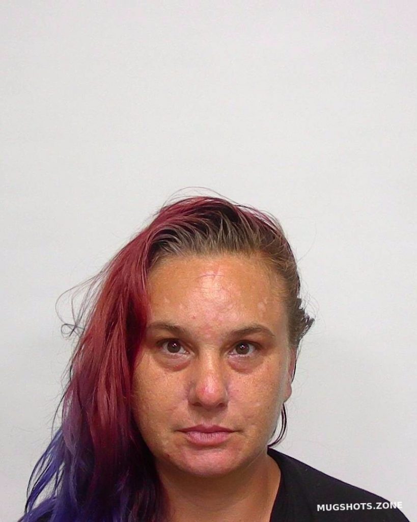 LEE TIFFANY PAIGE 07/09/2024 - Suwannee County Mugshots Zone