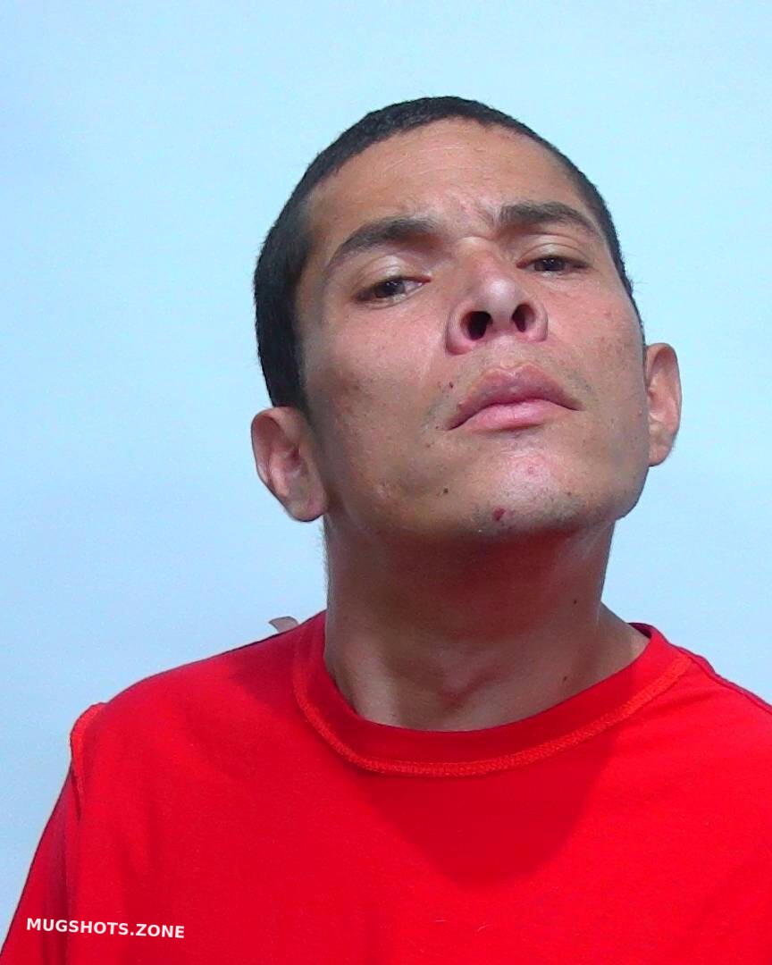 REYES PEDRO 04/04/2025 - Suwannee County Mugshots Zone