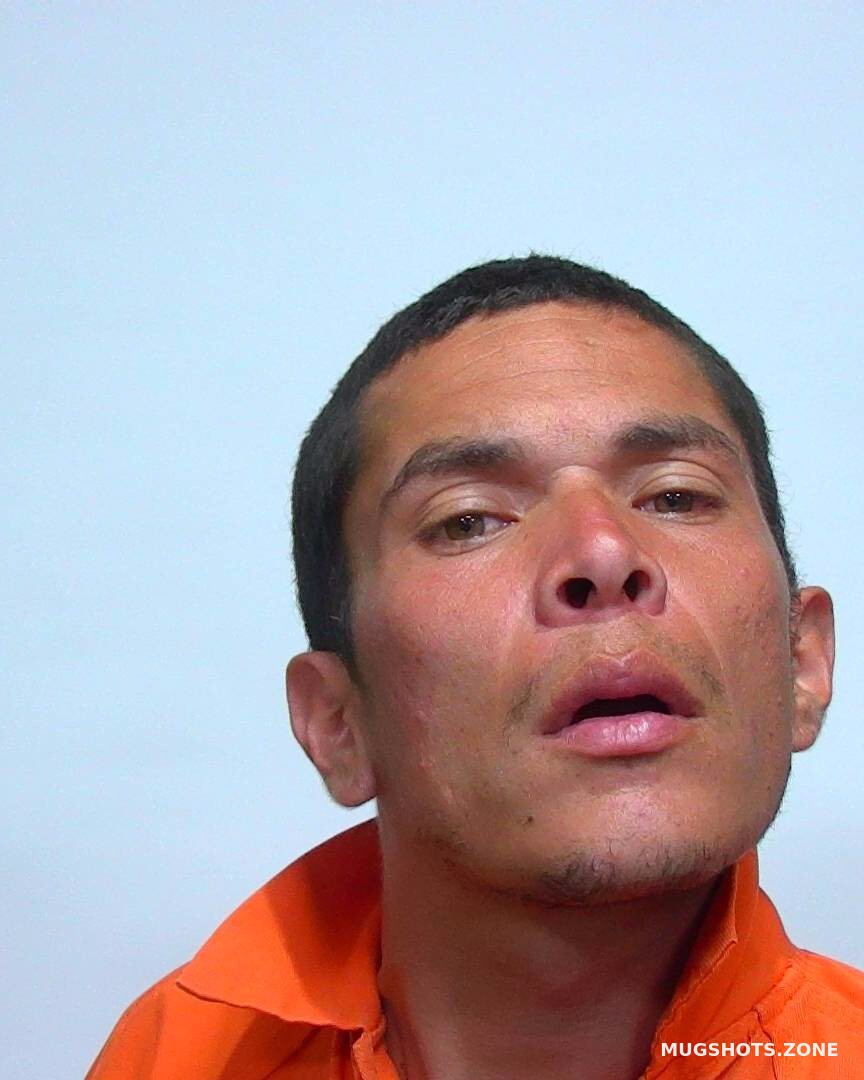 REYES PEDRO 04/13/2025 - Suwannee County Mugshots Zone