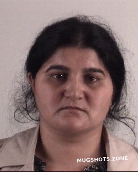 IANCU IONAN CATI 06/19/2022 - Tarrant County Mugshots Zone