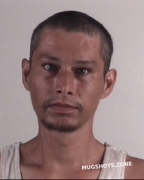 SALONGA ALLAN JED 07/20/2022 - Tarrant County Mugshots Zone