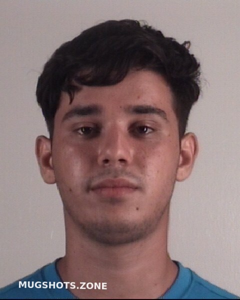 Radu Mario 08 20 2022 Tarrant County Mugshots Zone