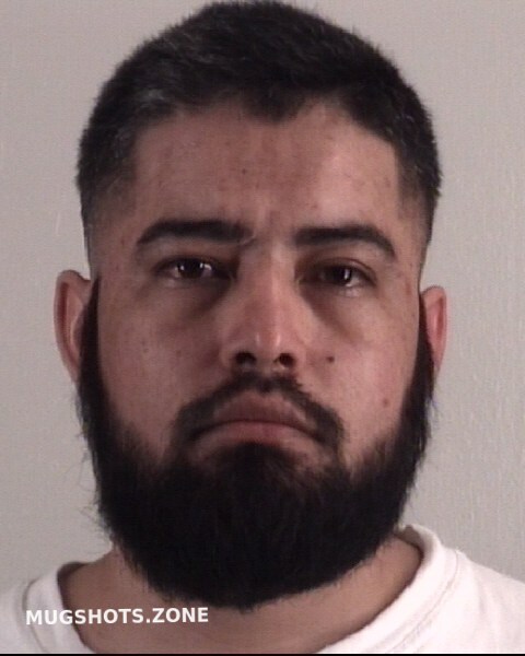 RIVERALARES HECTOR URIEL 09/20/2022 - Tarrant County Mugshots Zone
