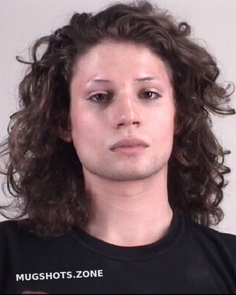 MCALLISTER ALEC MITCHELL 10/24/2022 - Tarrant County Mugshots Zone