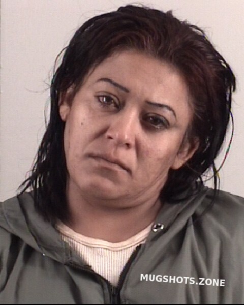 MARTINEZ CLAUDIA 10/25/2022 - Tarrant County Mugshots Zone