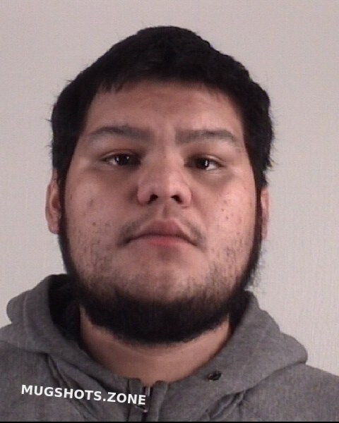 IRETA ALEJANDRO 11/10/2022 - Tarrant County Mugshots Zone
