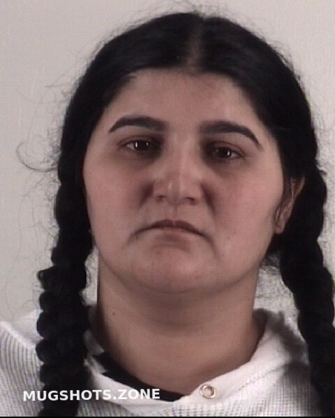 IANCU IONAN CATI 12/29/2022 - Tarrant County Mugshots Zone