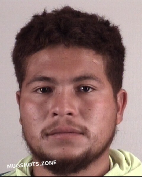 CERNA EDGAR 01/24/2023 - Tarrant County Mugshots Zone