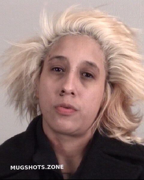 VILLEGAS APRIL MARIE 02/17/2023 - Tarrant County Mugshots Zone