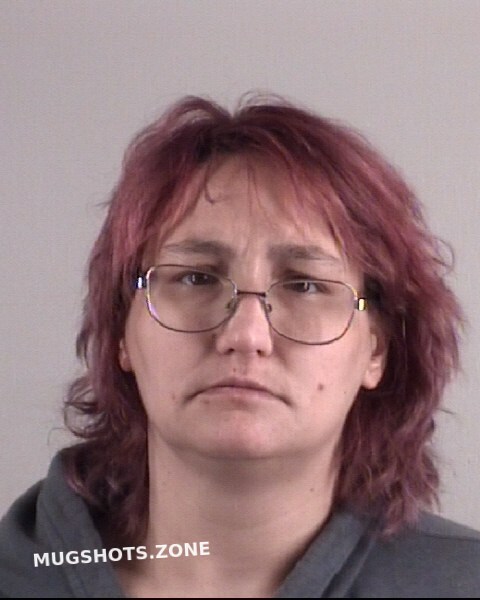 CHANTANOUNSY LILLY JO 02/28/2023 - Tarrant County Mugshots Zone