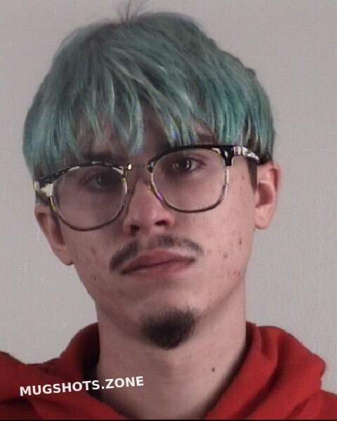 ERWIN TIMOTHY HARVEY 03/18/2023 - Tarrant County Mugshots Zone