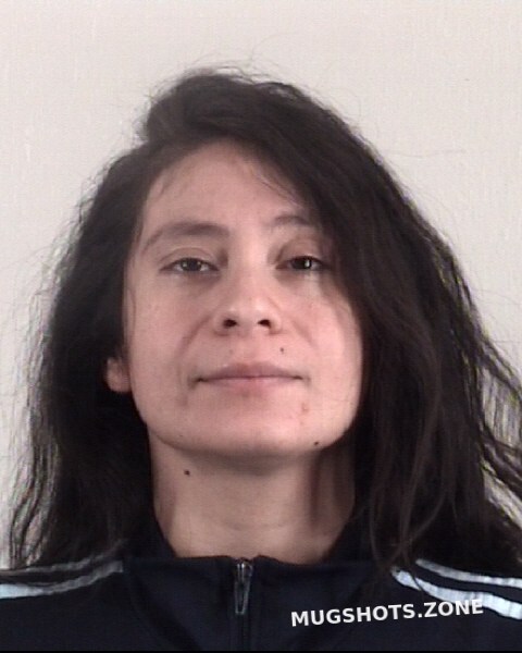 BENITEZ CAMILA MARIE 03/25/2023 - Tarrant County Mugshots Zone