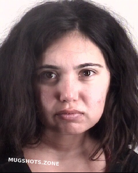 GARLIN SHARI RENEE 03/26/2023 - Tarrant County Mugshots Zone