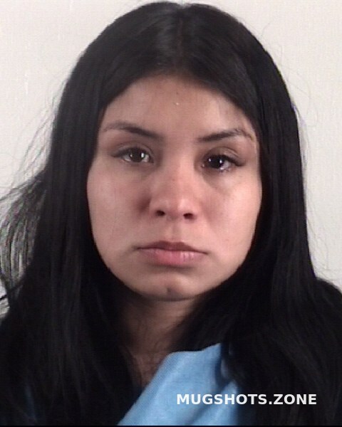 HERNANDEZ JANETH 04/02/2023 - Tarrant County Mugshots Zone