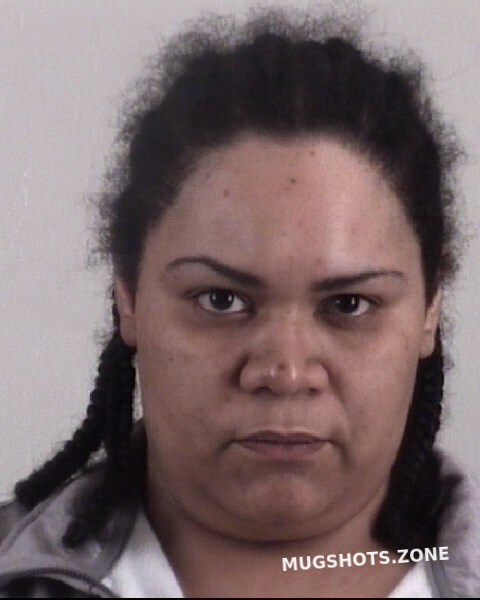 JAMES CHELSIE ELIZABETH 04/02/2023 - Tarrant County Mugshots Zone