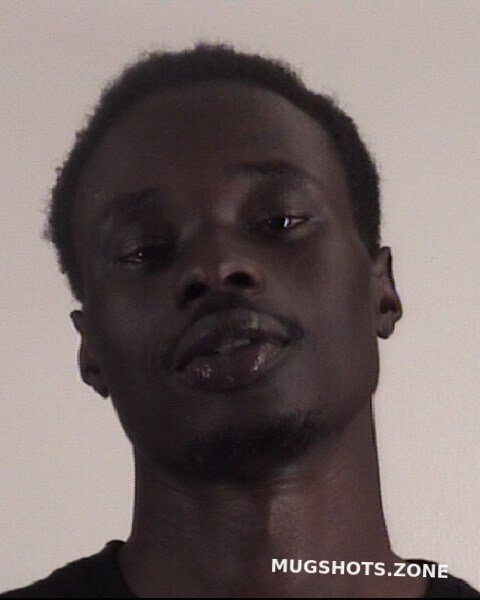 DENG DENG NGOR 05/02/2023 - Tarrant County Mugshots Zone
