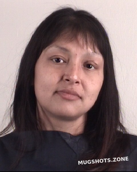 MEZA LYDIA ANN 05/20/2023 - Tarrant County Mugshots Zone