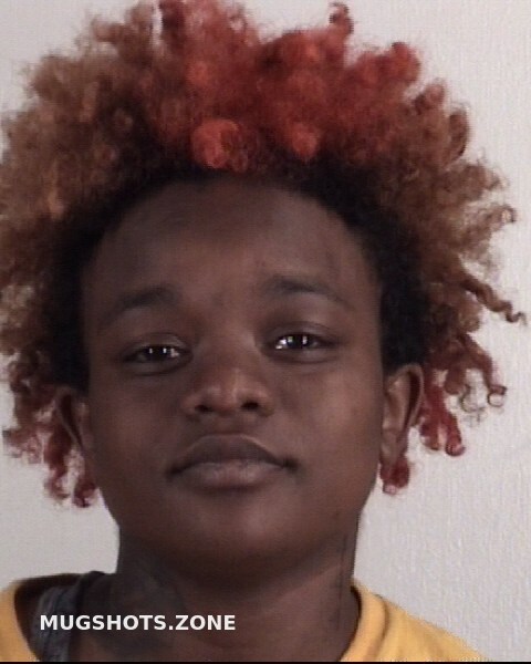 WHITE CNYA LASHELL 06/14/2023 - Tarrant County Mugshots Zone