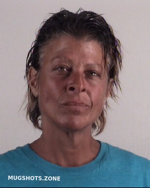 SCHMIDT KELLEY RENEE 06/25/2023 - Tarrant County Mugshots Zone
