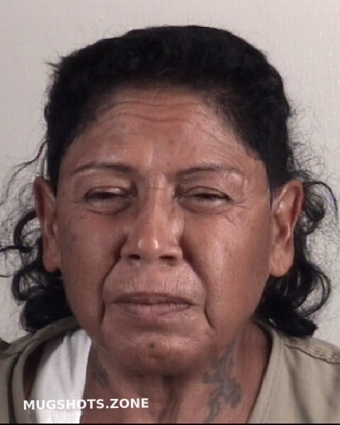SMITH MARIA ELENA 07/08/2023 - Tarrant County Mugshots Zone