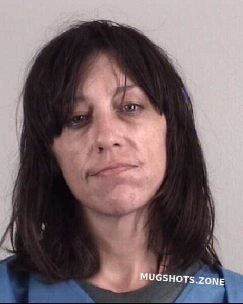 NEMETH SARA DENISE 08/31/2023 - Tarrant County Mugshots Zone