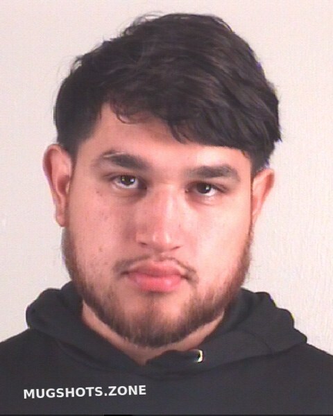 FELAN FABIAN ANGEL 10/24/2023 - Tarrant County Mugshots Zone