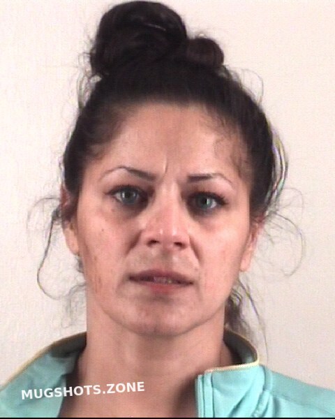 BURK TABITHA ANN 01/28/2024 - Tarrant County Mugshots Zone