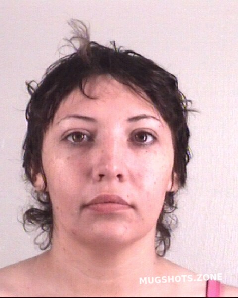 ELIZONDO ASHLEY MARIE 02/16/2024 - Tarrant County Mugshots Zone