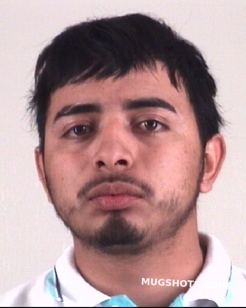 DELACRUZ SILVIANO DELOSSANTOS 04/08/2024 - Tarrant County Mugshots Zone