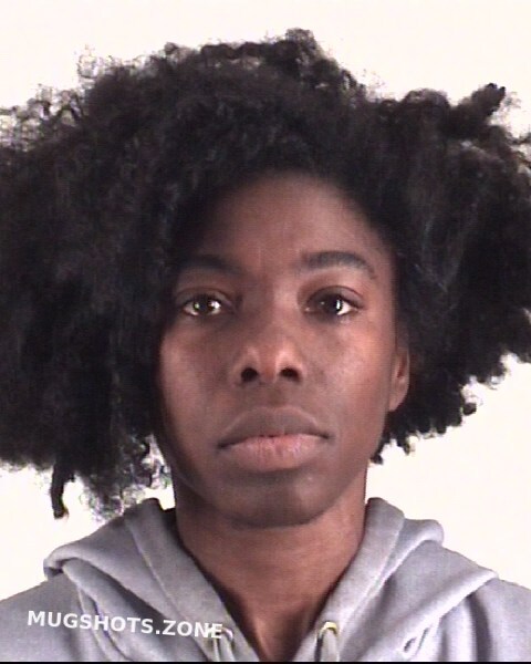 WATKINS NASTAJA 04/16/2024 - Tarrant County Mugshots Zone
