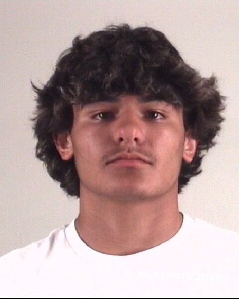 MARTIN AUSTIN JAMES 10/20/2024 - Tarrant County Mugshots Zone