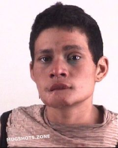 HERNANDEZ DALLANA ALEJANDRA 01/31/2025 - Tarrant County Mugshots Zone
