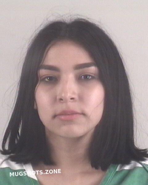 CASTILLO REBECCA AMARIS 02/10/2025 - Tarrant County Mugshots Zone