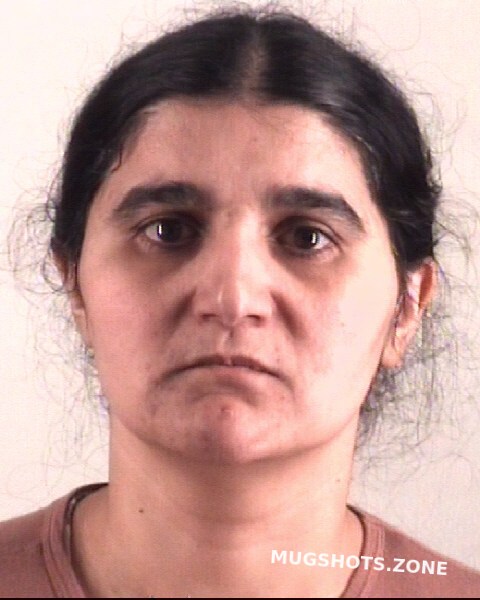 IANCU IONAN CATI 04/25/2025 - Tarrant County Mugshots Zone