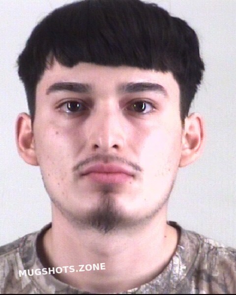 Alvarez Alejandro 05 08 2025 Tarrant County Mugshots Zone