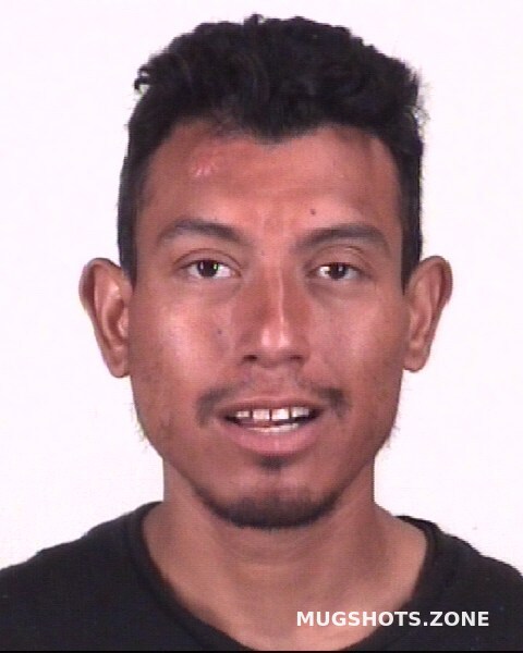 ROBLES JOSE LUIS 08/19/2025 - Tarrant County Mugshots Zone