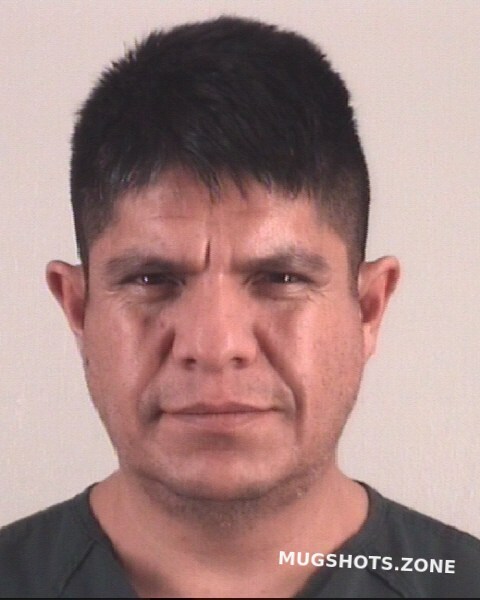 NAVA ANGEL 11/21/2025 - Tarrant County Mugshots Zone