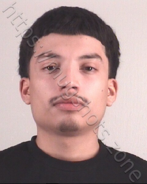ALANIS DIEGO 05/21/2026 - Tarrant County Mugshots Zone