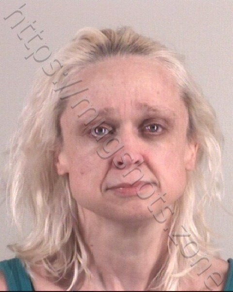 CRITES LISA 05/23/2026 - Tarrant County Mugshots Zone