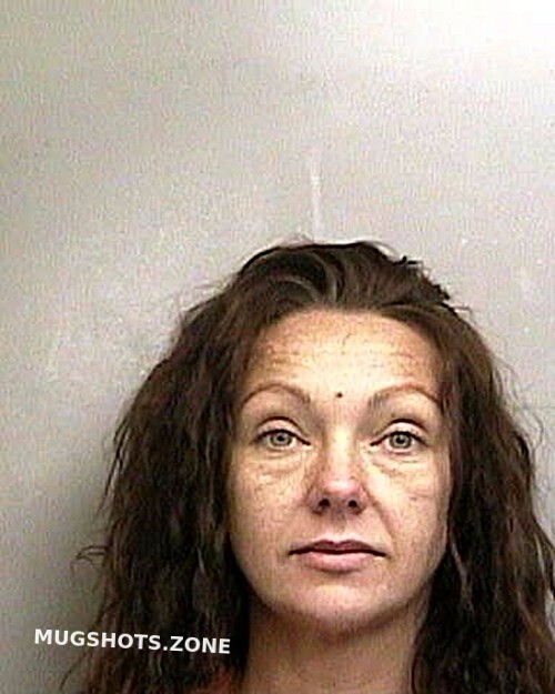 STRINGER BRANDY NICOLE 05/23/2022 - Taylor County Mugshots Zone